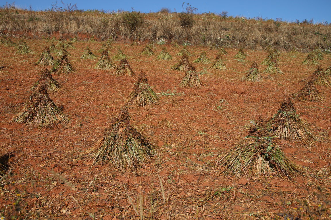 Les terres rouges de Lexiaguo – Alain et ses voyages